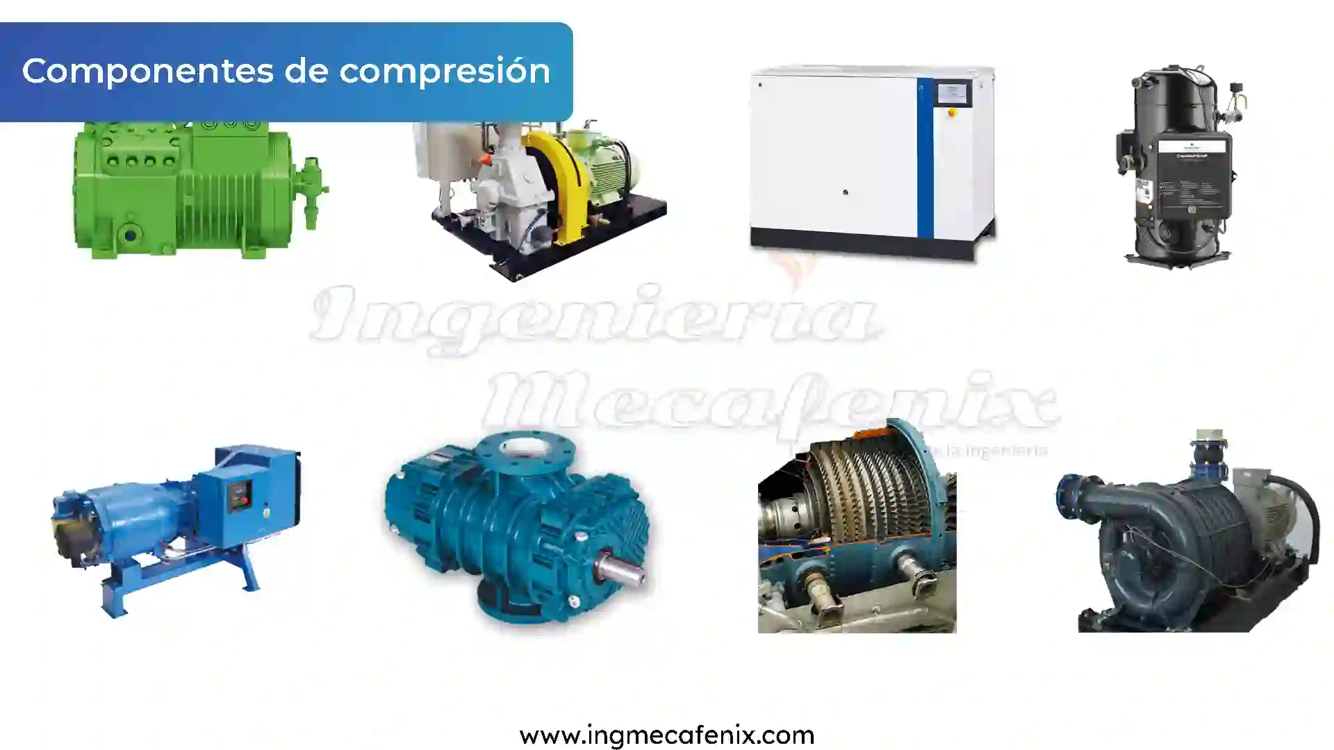 Componentes de compresión de un sistema de compresión